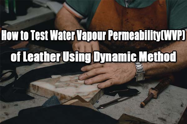 How to Test Water Vapour Permeability(WVP) of Leather Using Dynamic ...